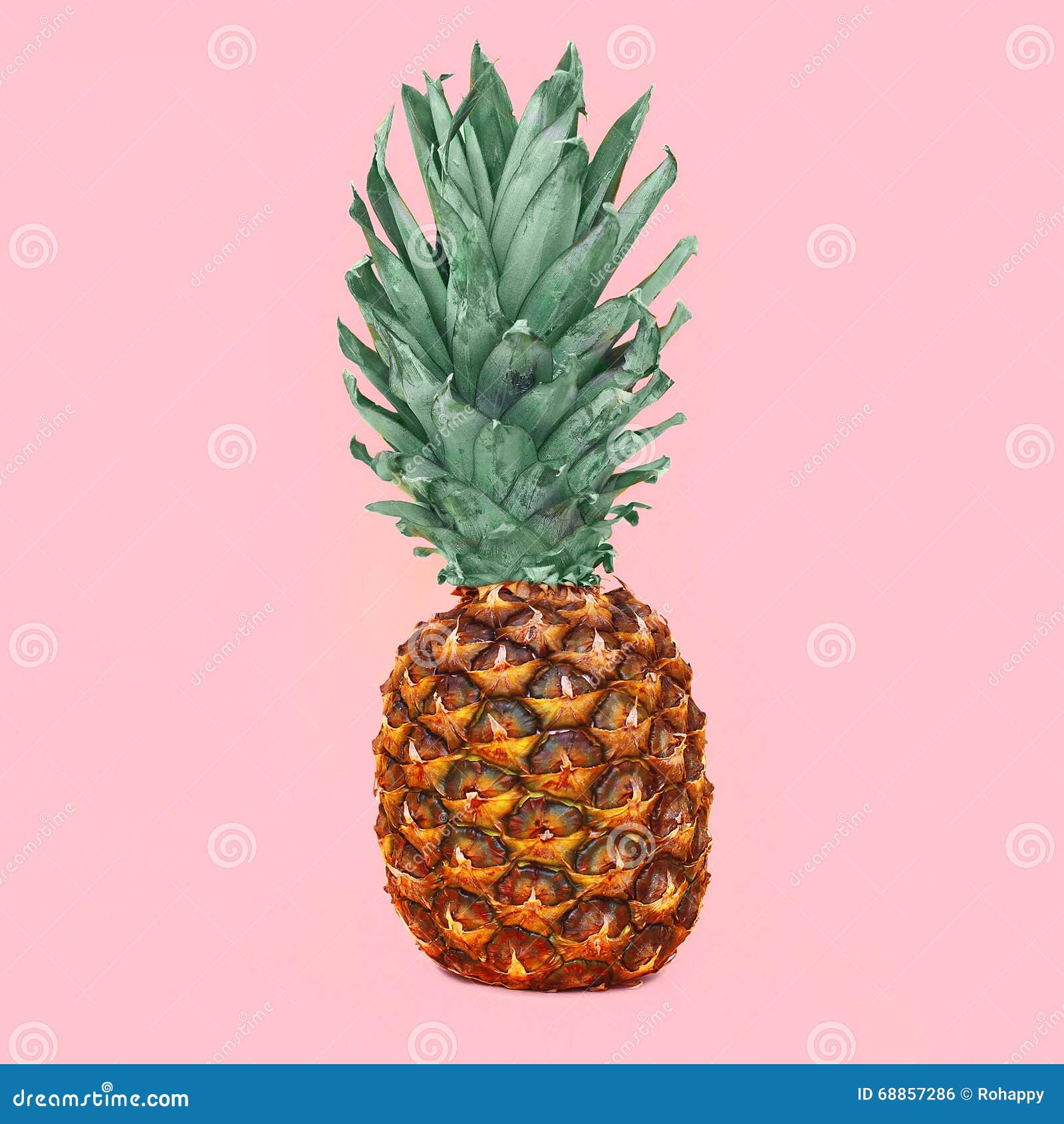 Ananasfrucht Auf Buntem Rosa Hintergrund, Ananas Stockfoto - Bild von ...