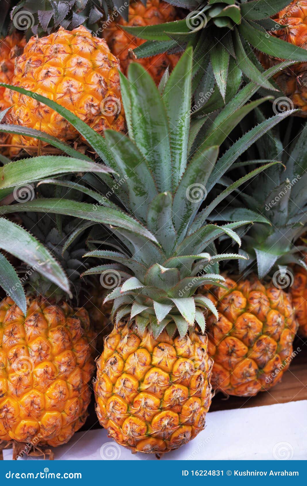 Ananasy obraz stock. Obraz złożonej z objurgate, cytrusy - 16224831