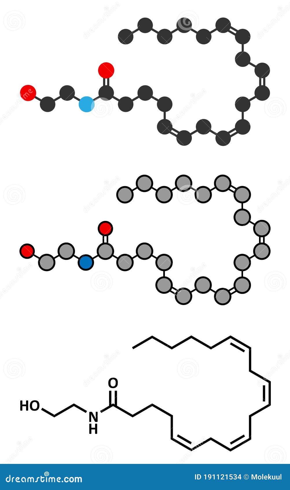 Anandamide Endogenous Cannabinoid Neurotransmitter Molecule. Stylized ...