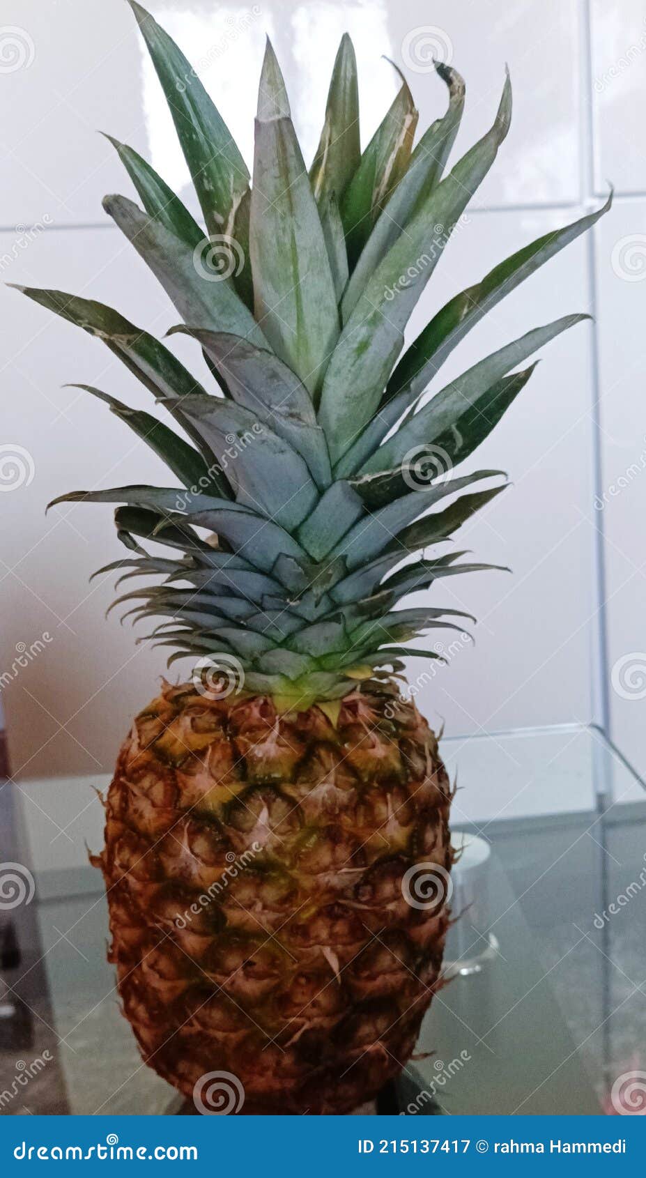 Anans fruit tropical stock image. Image of branch, tree - 215137417