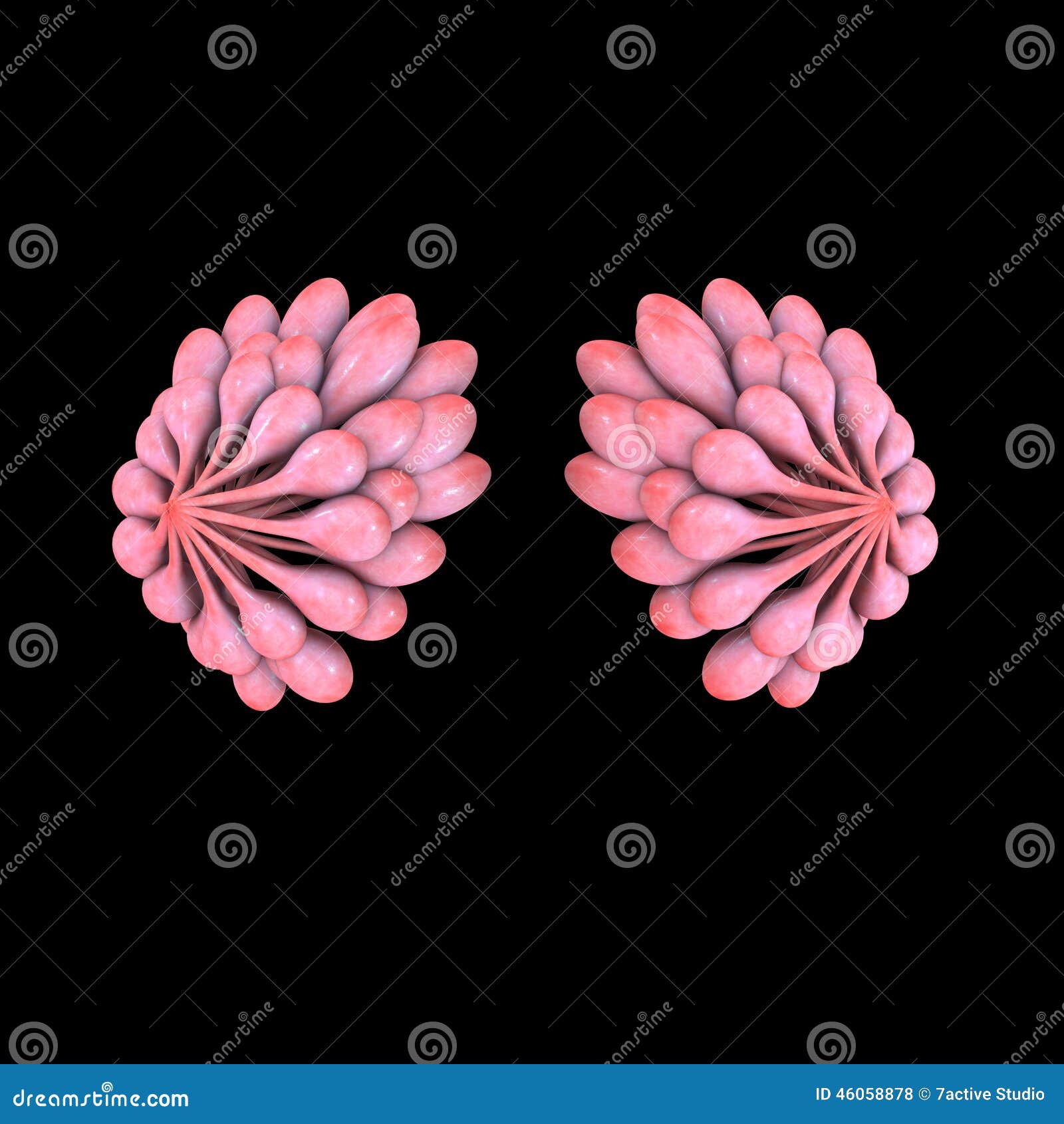 Anatomía del pecho stock de ilustración. Ilustración de piel - 46058878