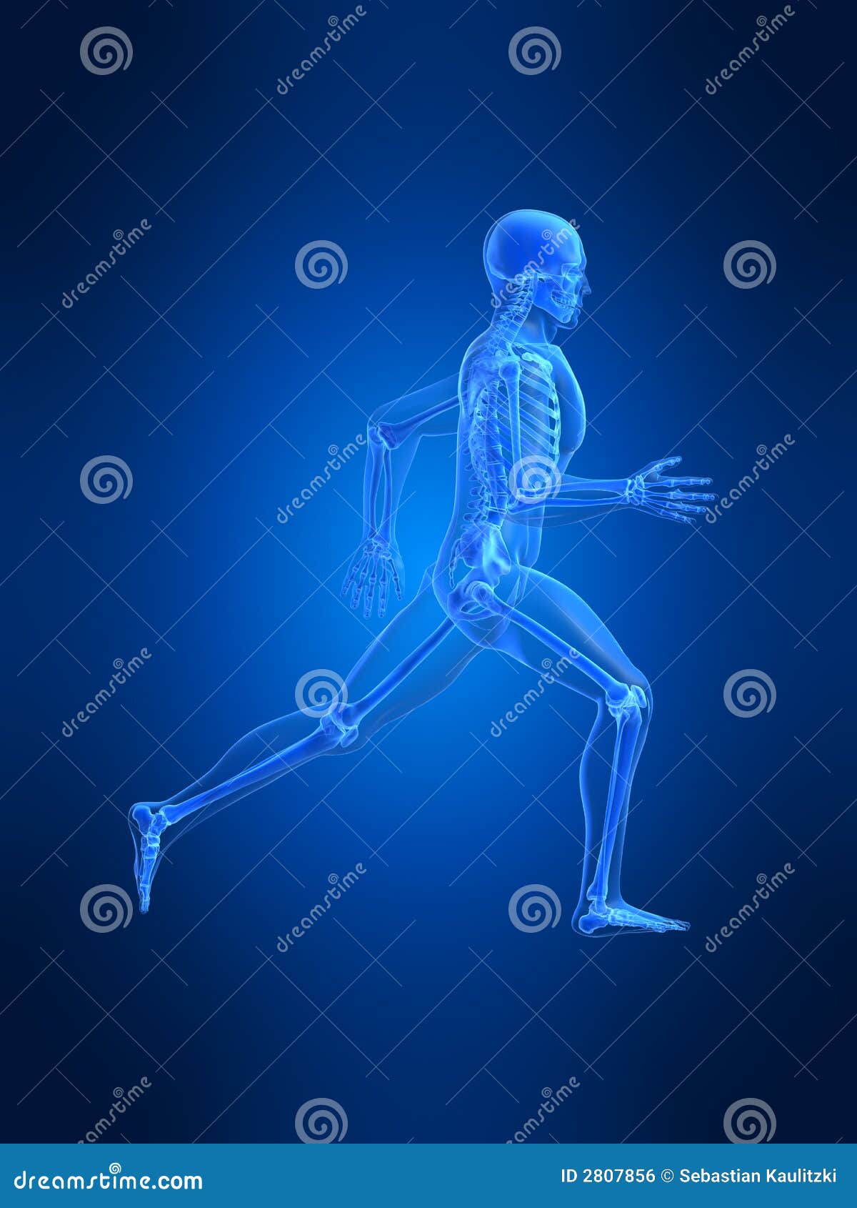 Anatomia Running do homem ilustração stock. Ilustração de ortopédico ...