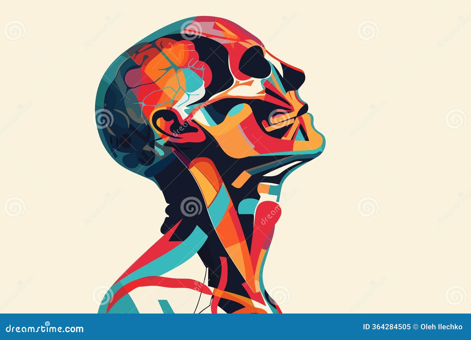 Anatomic Illustration Biology Class Poster Isolated Illustration ...