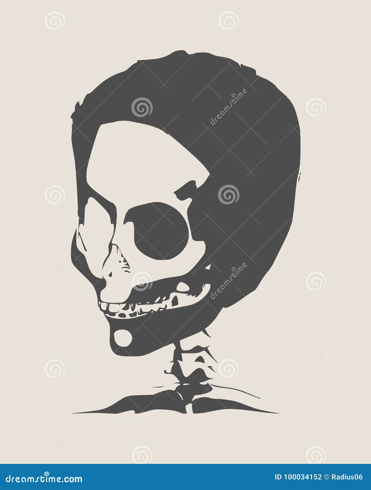 Anatomic Illustration of Skull Stock Vector - Illustration of anatomy ...