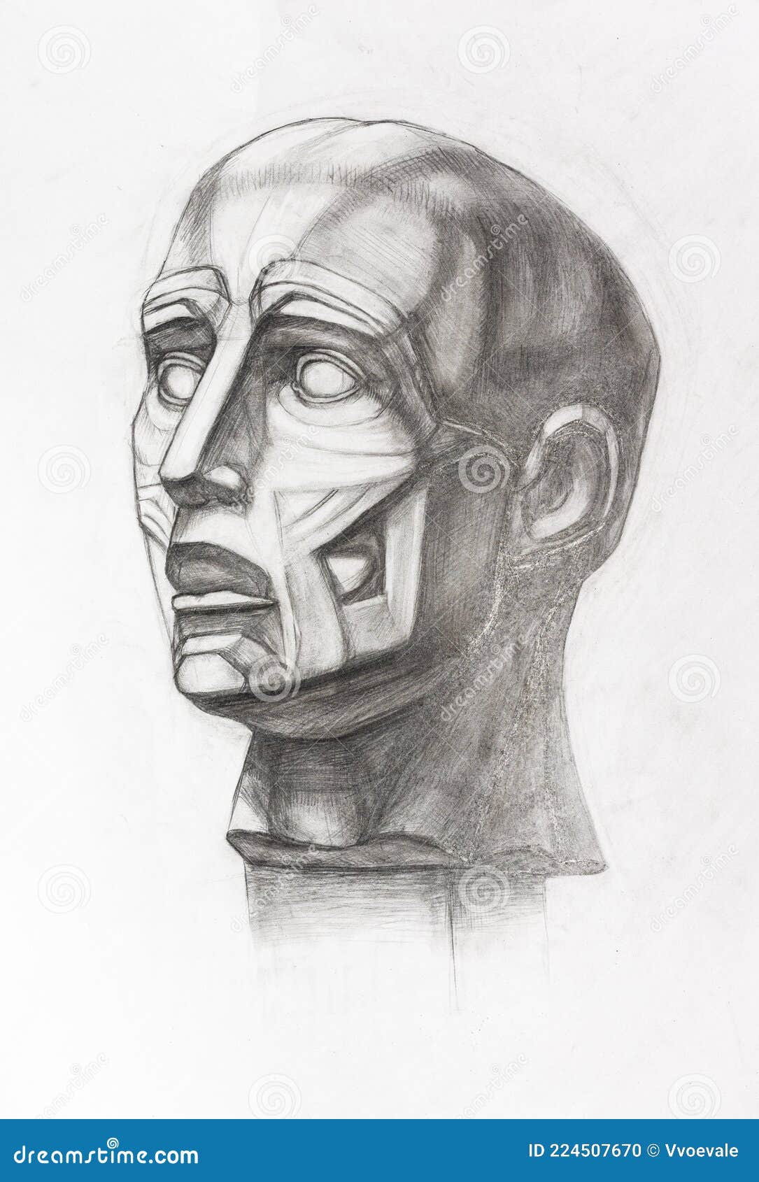 Anatomical Ecorche Head Hand-drawn by Pencil Stock Photo - Image of ...