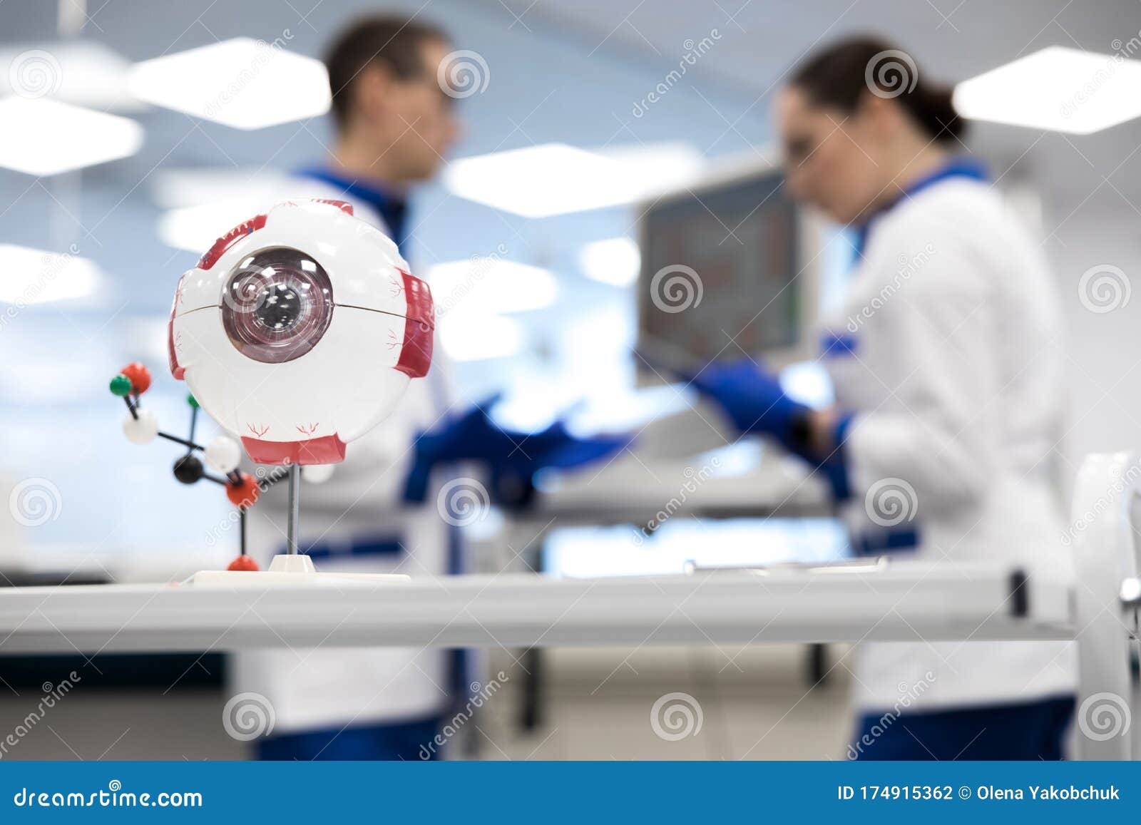 Anatomical Eye Model with Scientists on Blurred Background Stock Photo ...