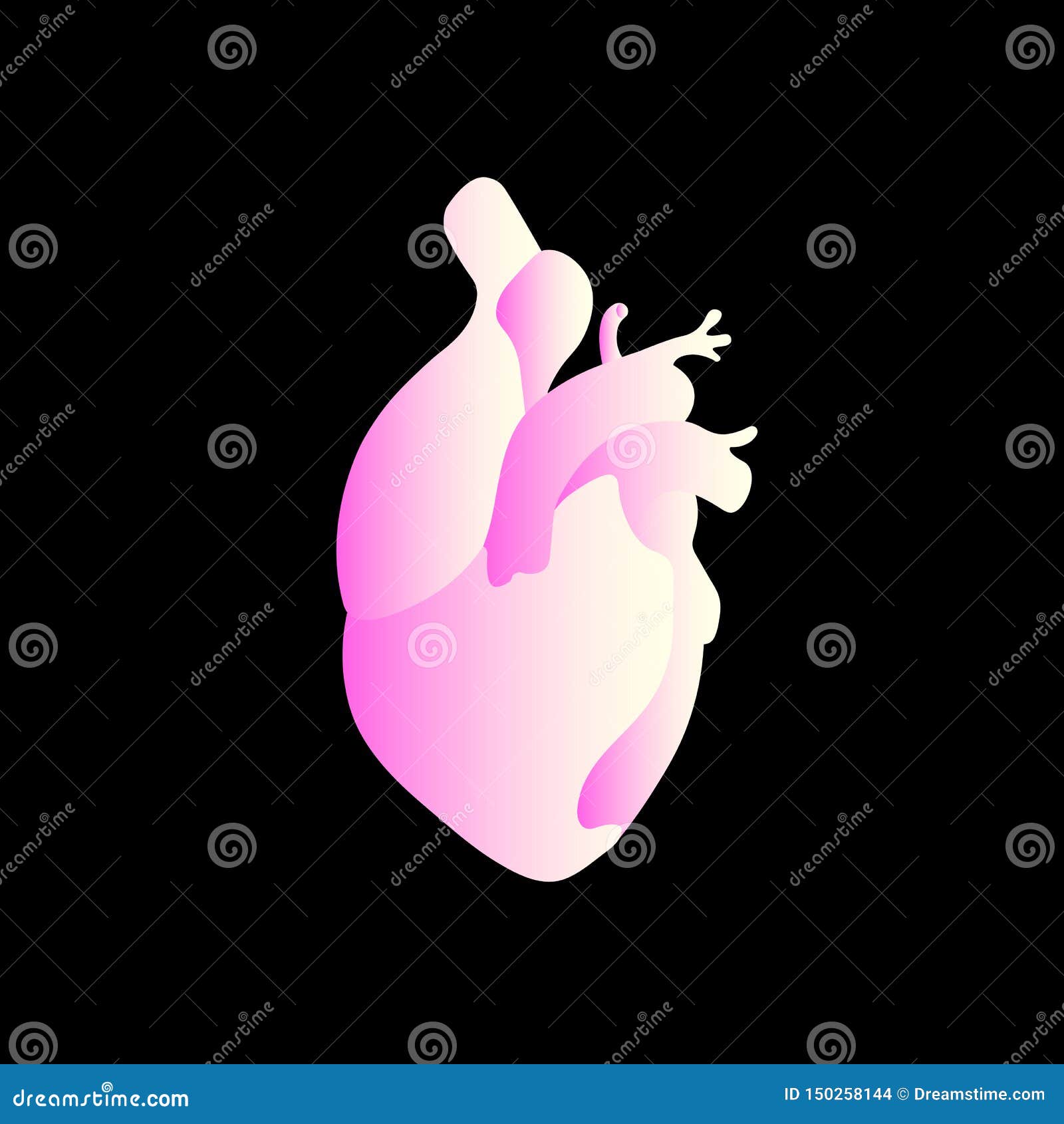 Anatomical Heart. Bright Pink Gradient on a Dark Background Stock ...