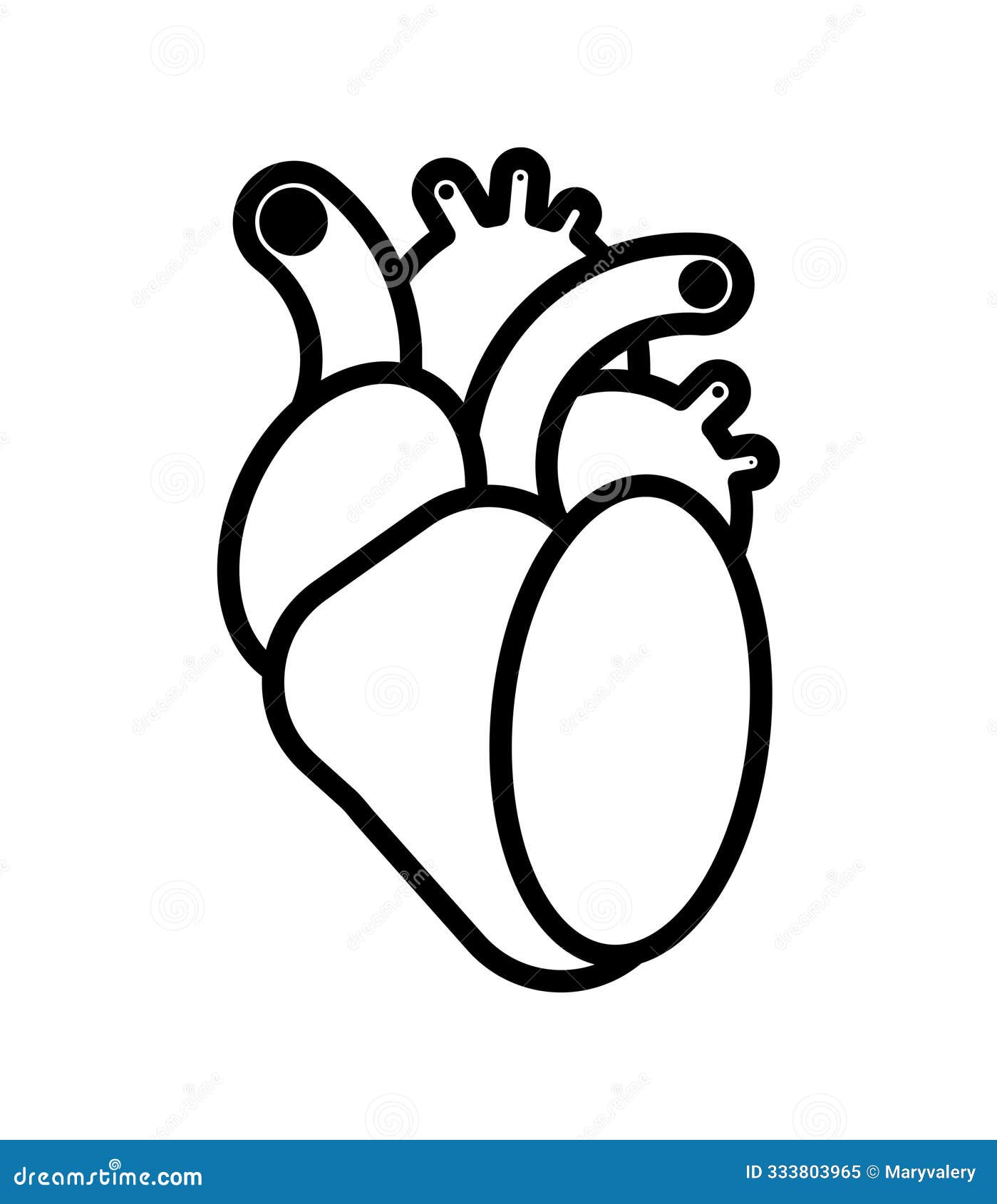 Anatomical Heart Icon Sign. Heart Symbol Stock Illustration ...