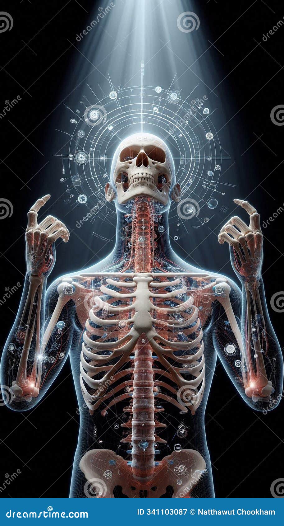 Anatomical Human Figure with Digital Elements Stock Illustration ...