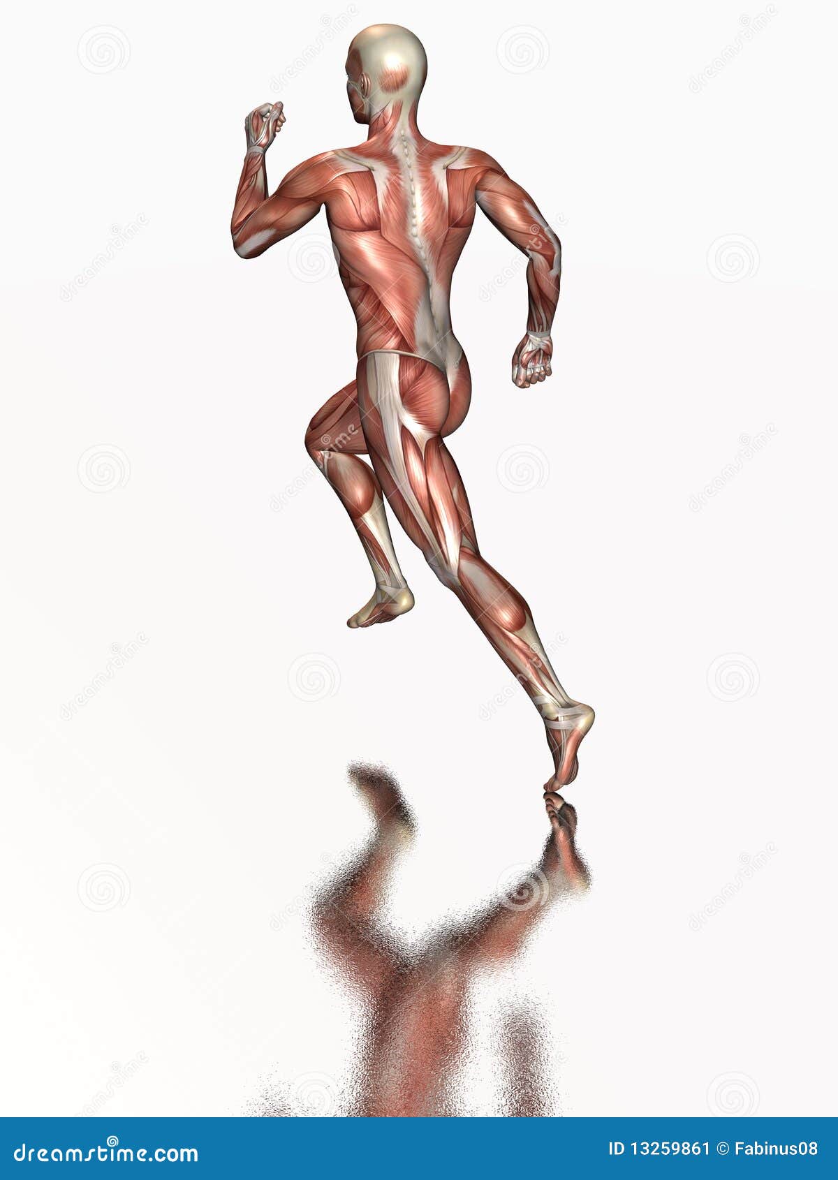 Anatomical human running stock illustration. Illustration of background ...