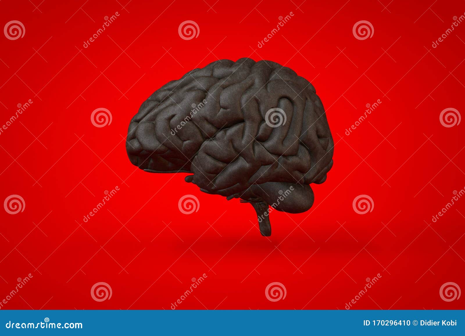 Anatomical Illustration Over a Vivid Colored Background. Brain Close-up ...