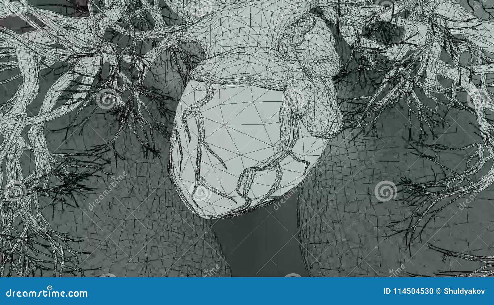Anatomical Model of Heart Beat with Different Effects Stock Footage ...