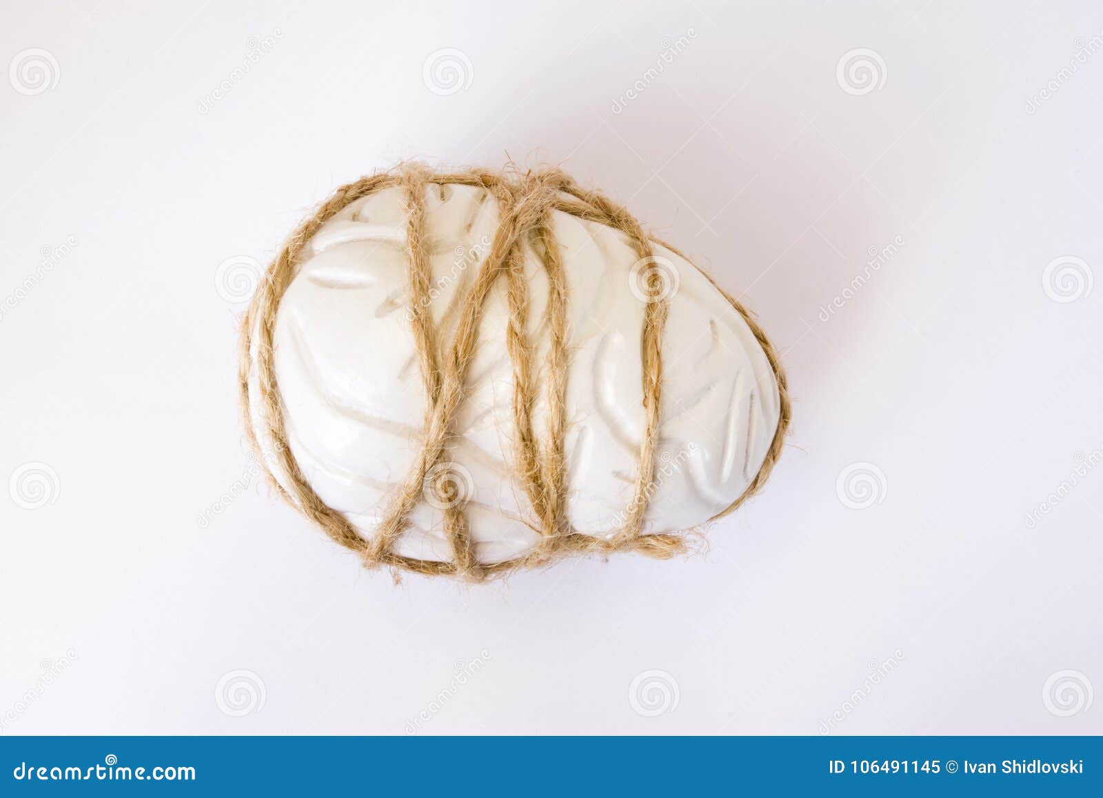 Anatomical Model Of Human Brain, Strongly Tied Around With Rope On ...