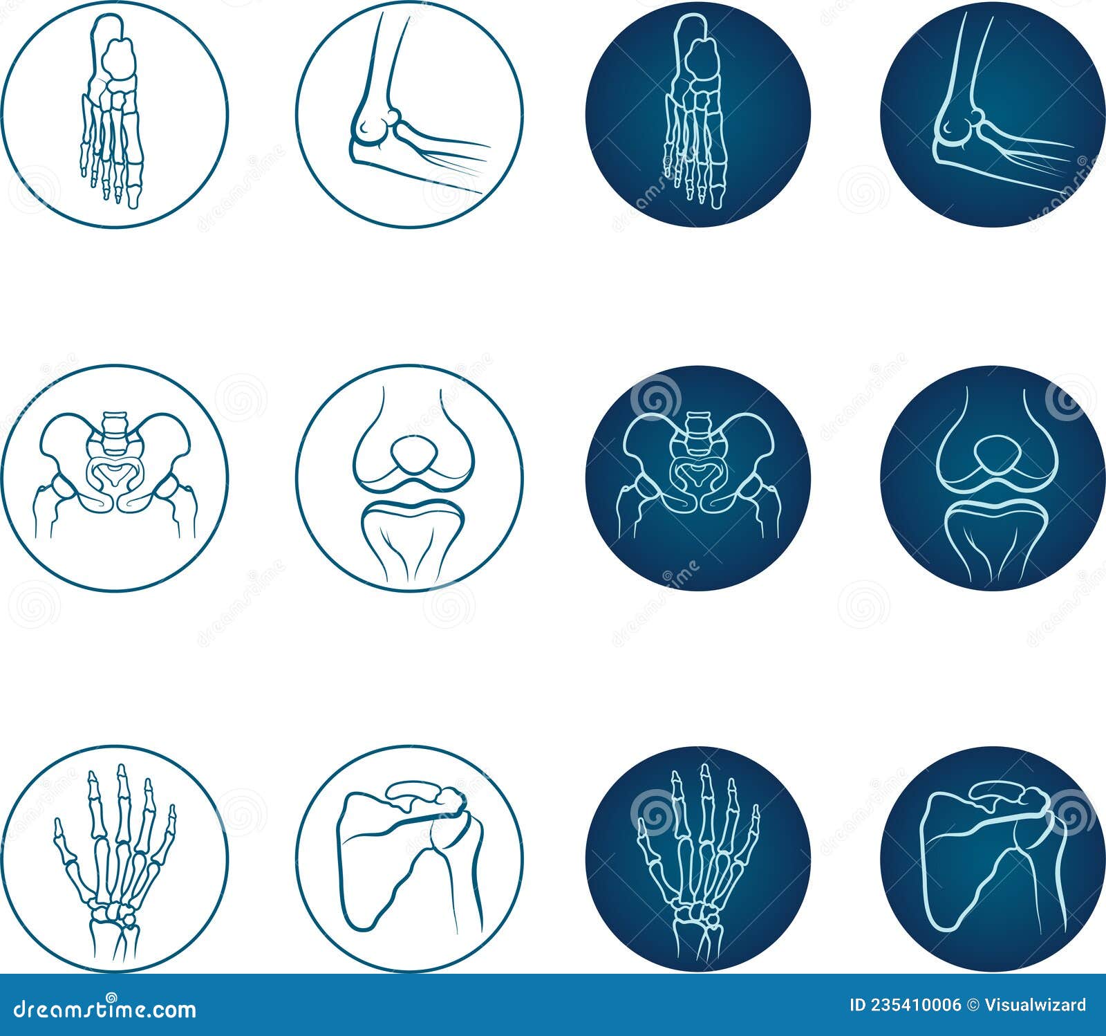 Anatomical Orthopedic Medical Vector Icon Set Pack Stock Vector ...