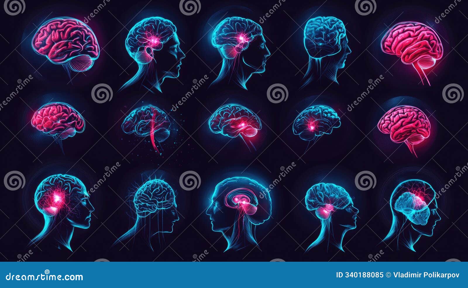 Anatomically Correct Illustrations of the Human Brain with Glowing ...