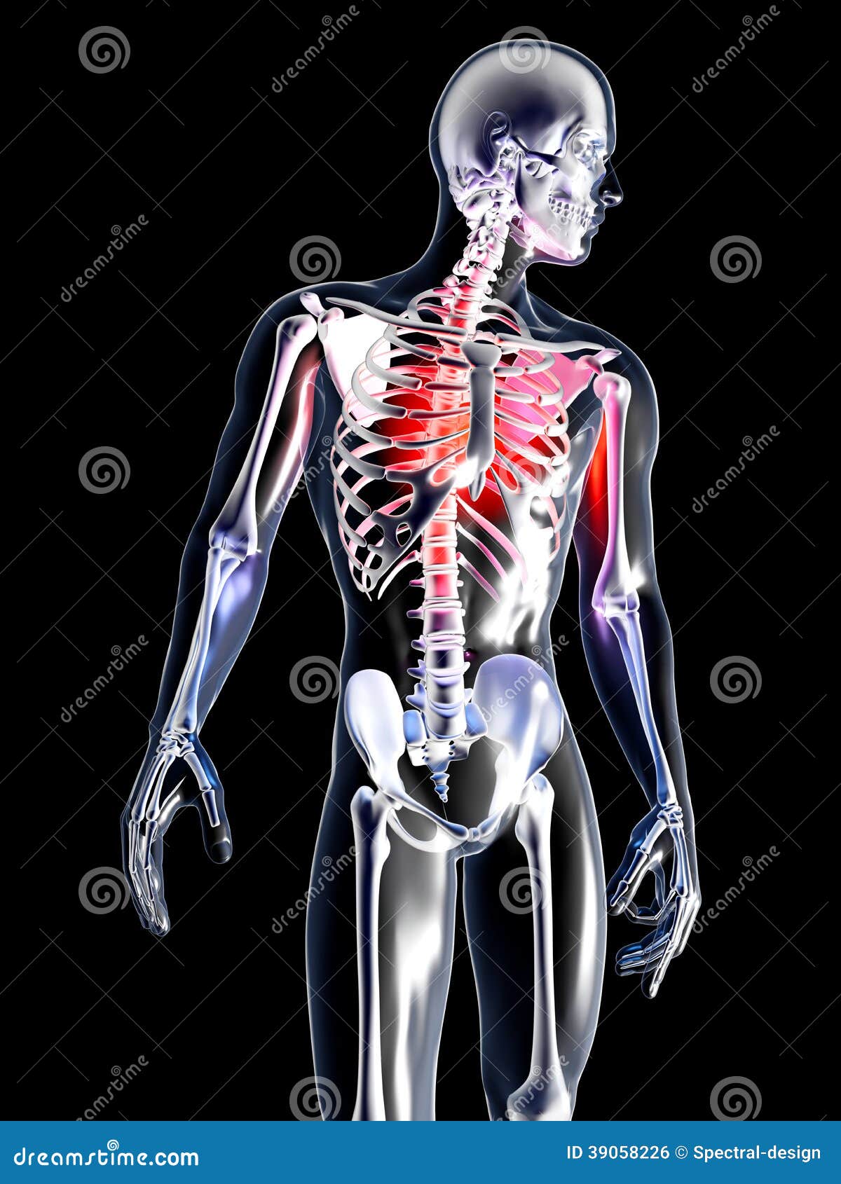 Anatomie - Borstpijn stock illustratie. Illustration of besmetting ...