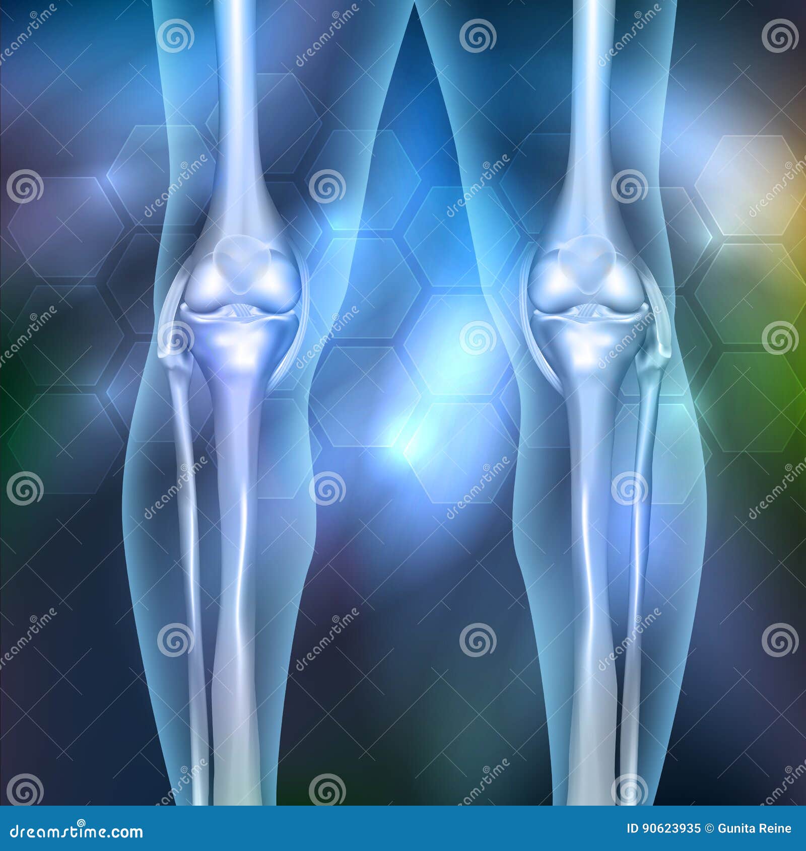 Anatomie commune de jambe illustration de vecteur. Illustration du soin ...