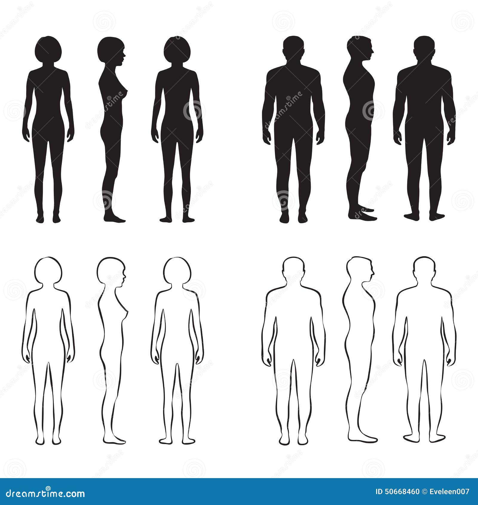 Clipart Silhouette Du Corps Humain Polygon Human Body : 9 502 Images,