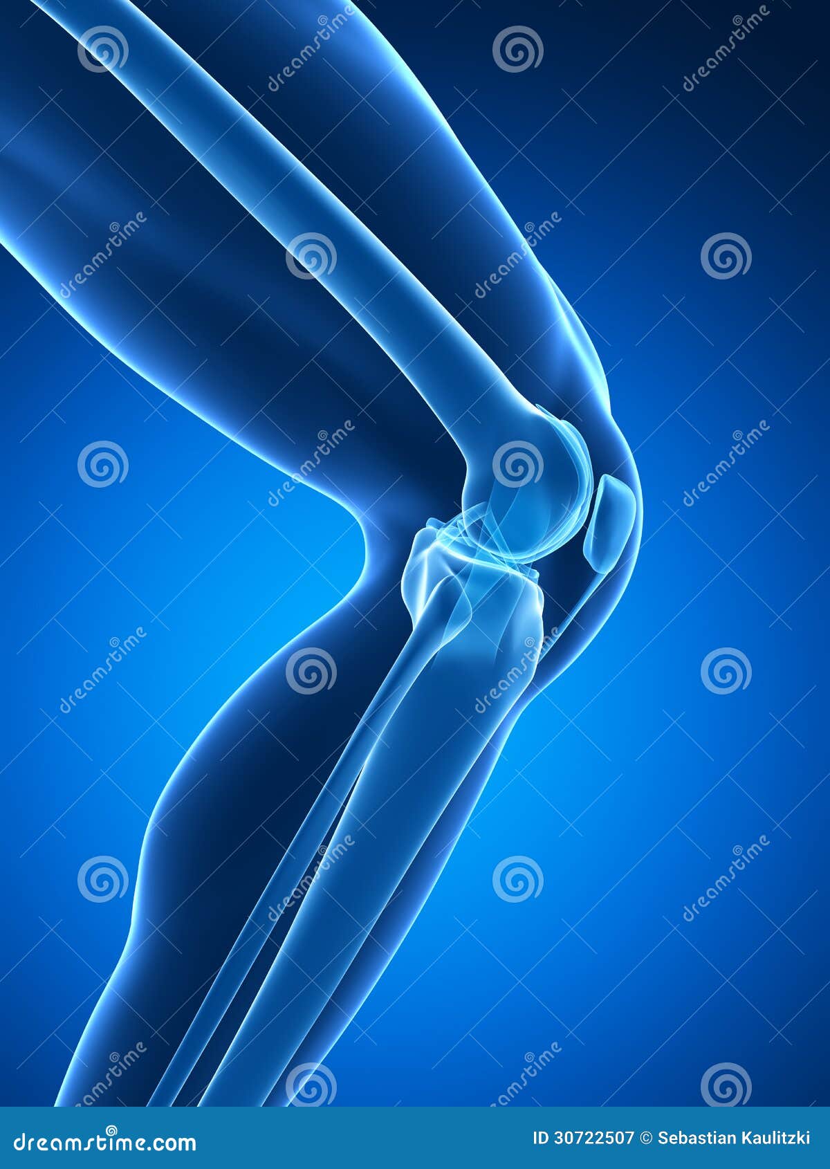 Anatomie de genou illustration stock. Illustration du chirurgie - 30722507