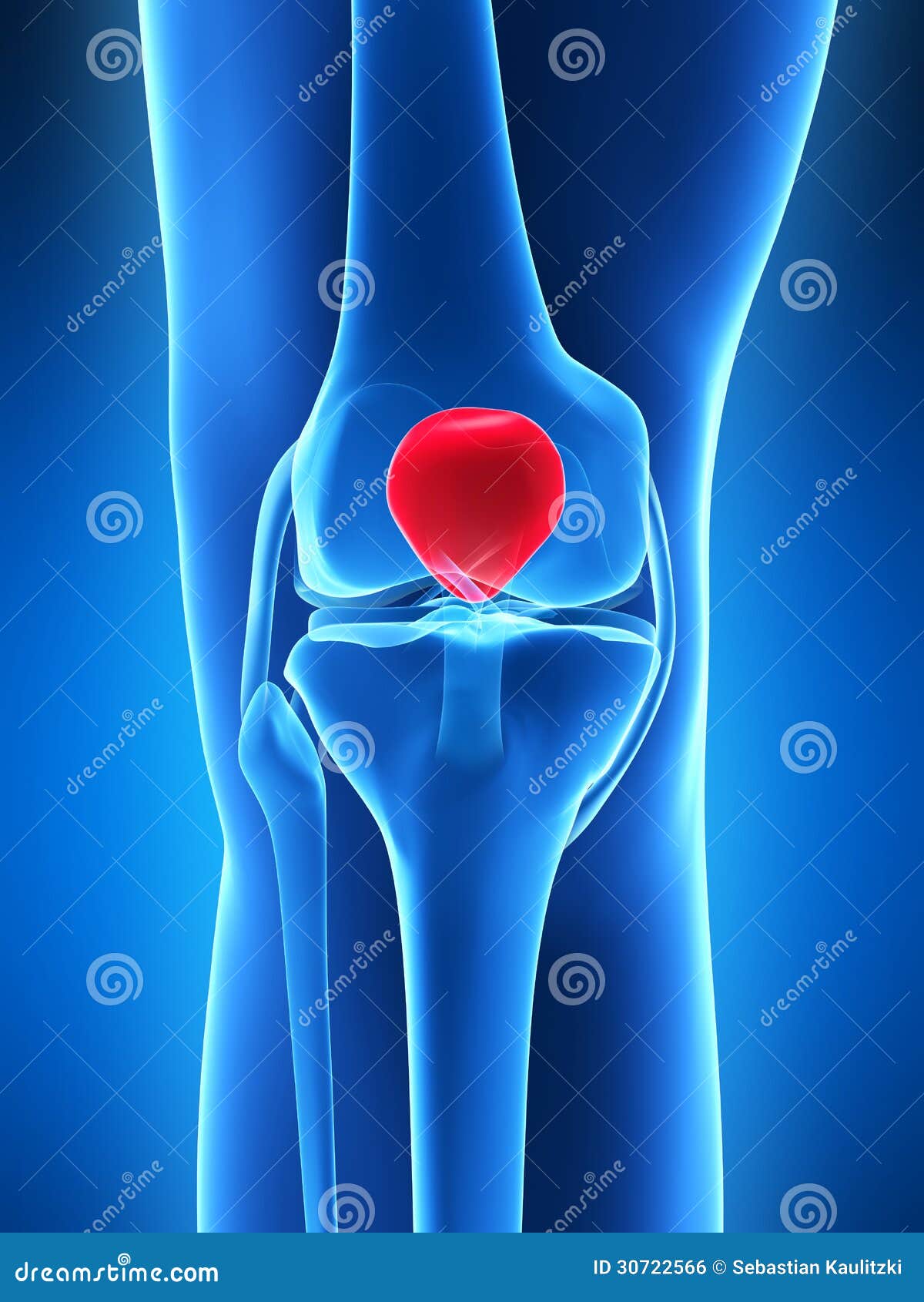 Anatomie de genou illustration stock. Illustration du sympt40me - 30722566