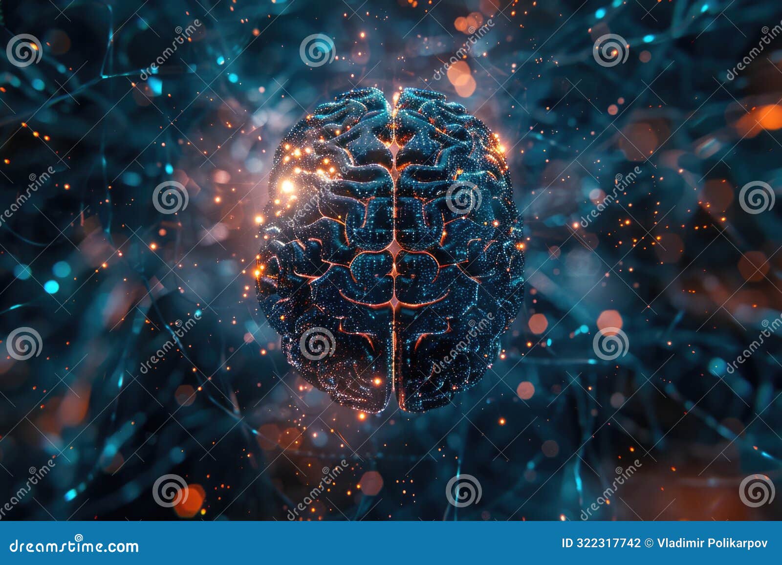 Anatomie Du Cerveau Humain Illustrant Sa Structure Interne Et Sa ...