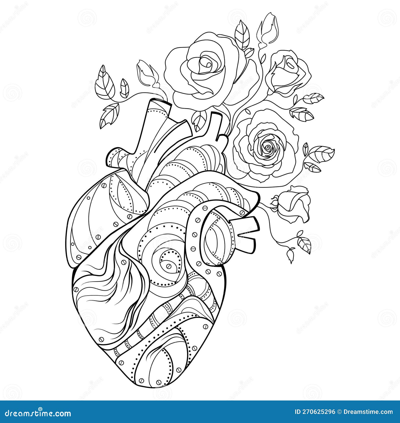 Anatomisches Herz Mit Blumen Anatomisches Herz Mit Blumen
