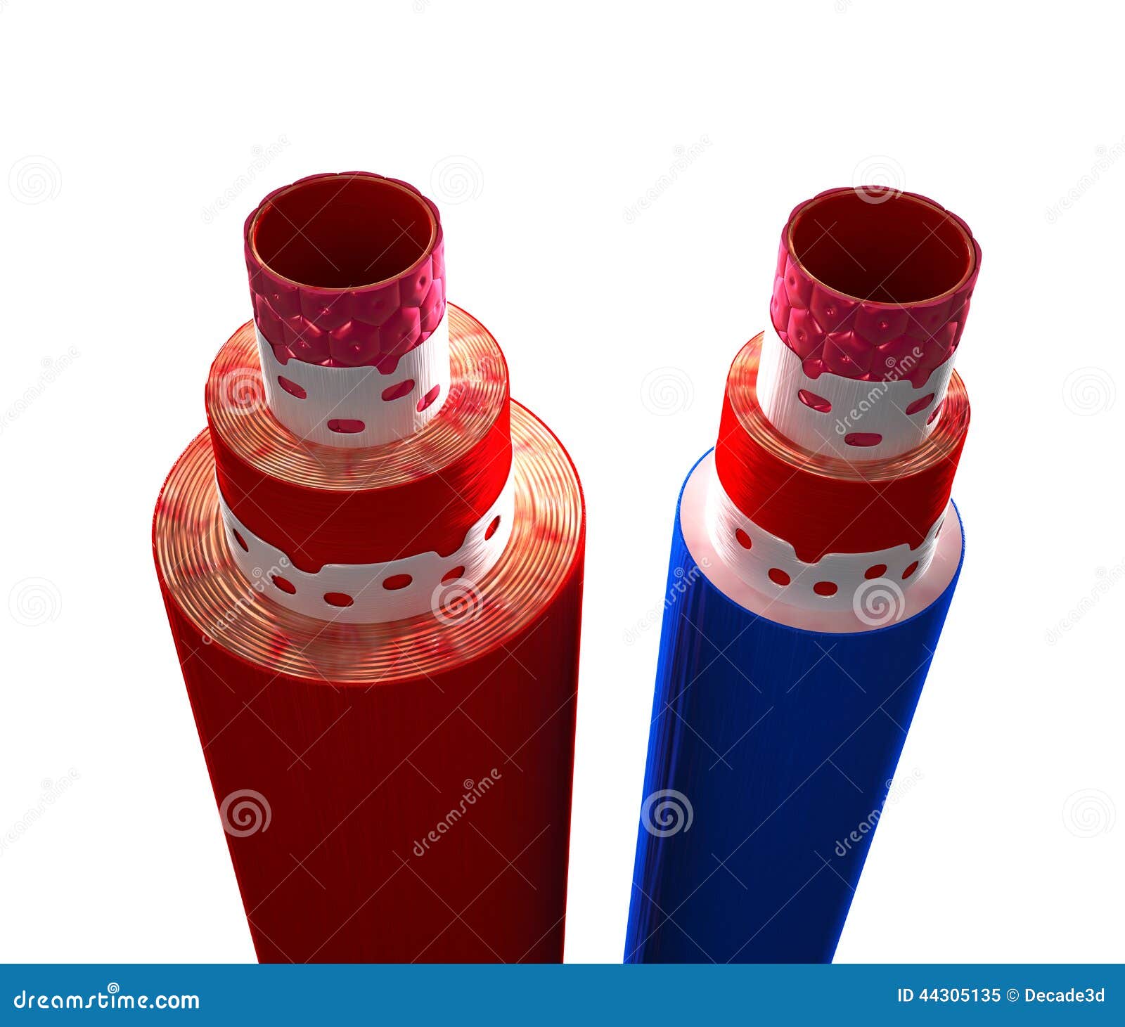 Anatomy Of Vein. Structure Cartoon Vector | CartoonDealer.com #213463403