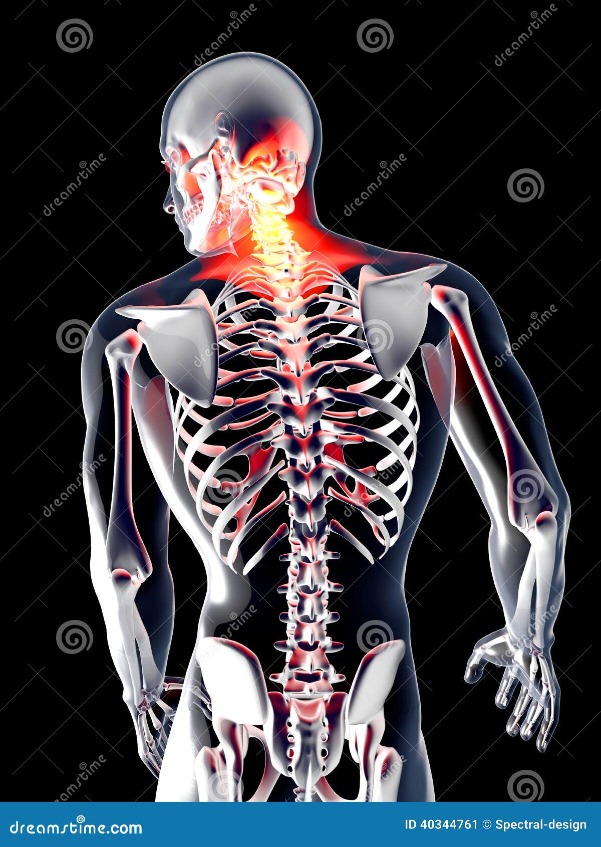 Anatomy - Back Pain stock illustration. Illustration of black - 40344761