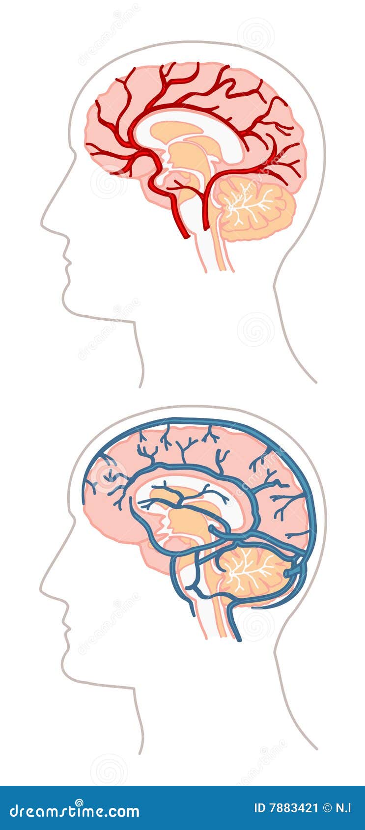 Shema Cartoons, Illustrations & Vector Stock Images - 113 Pictures to ...