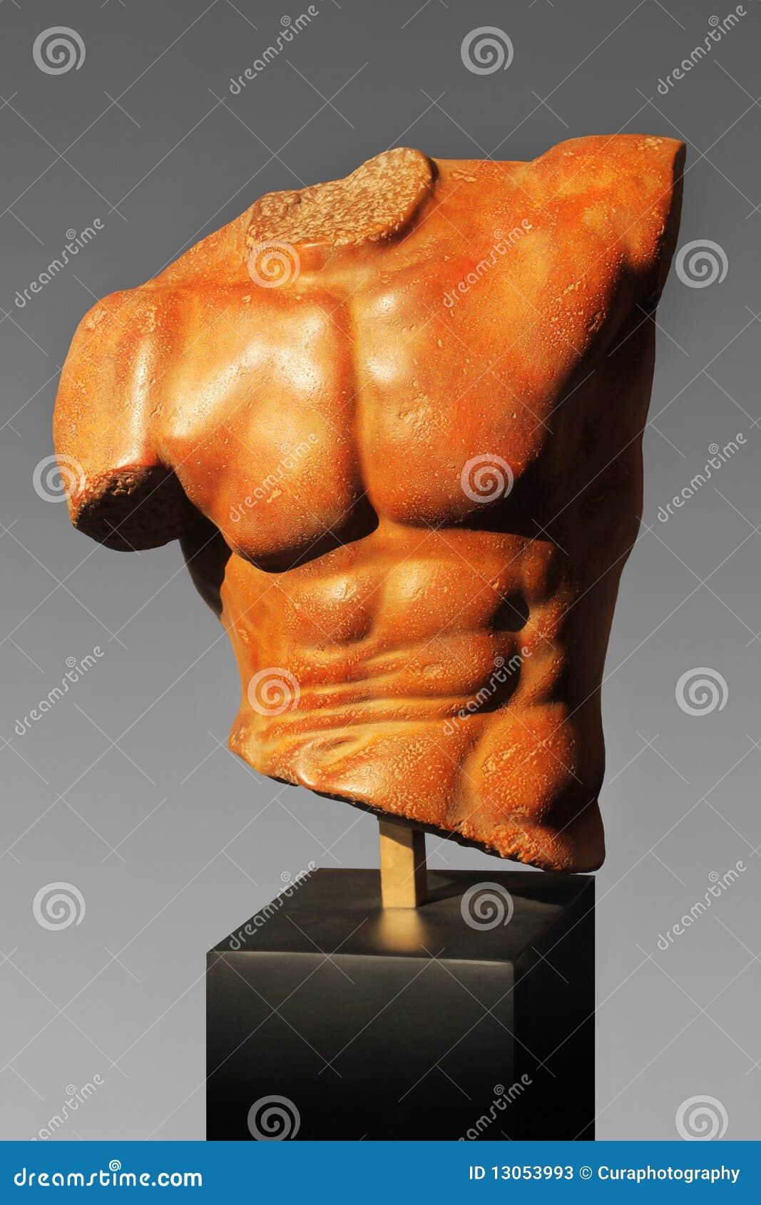 Torso Sculpture Royalty-Free Stock Image | CartoonDealer.com #6464986