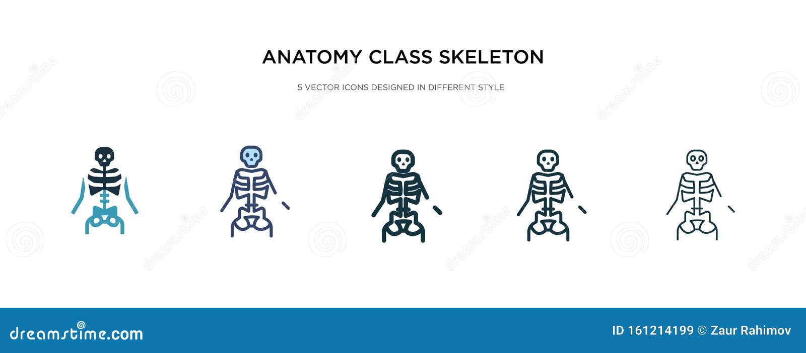 Anatomy Class Skeleton Icon in Different Style Vector Illustration. Two ...