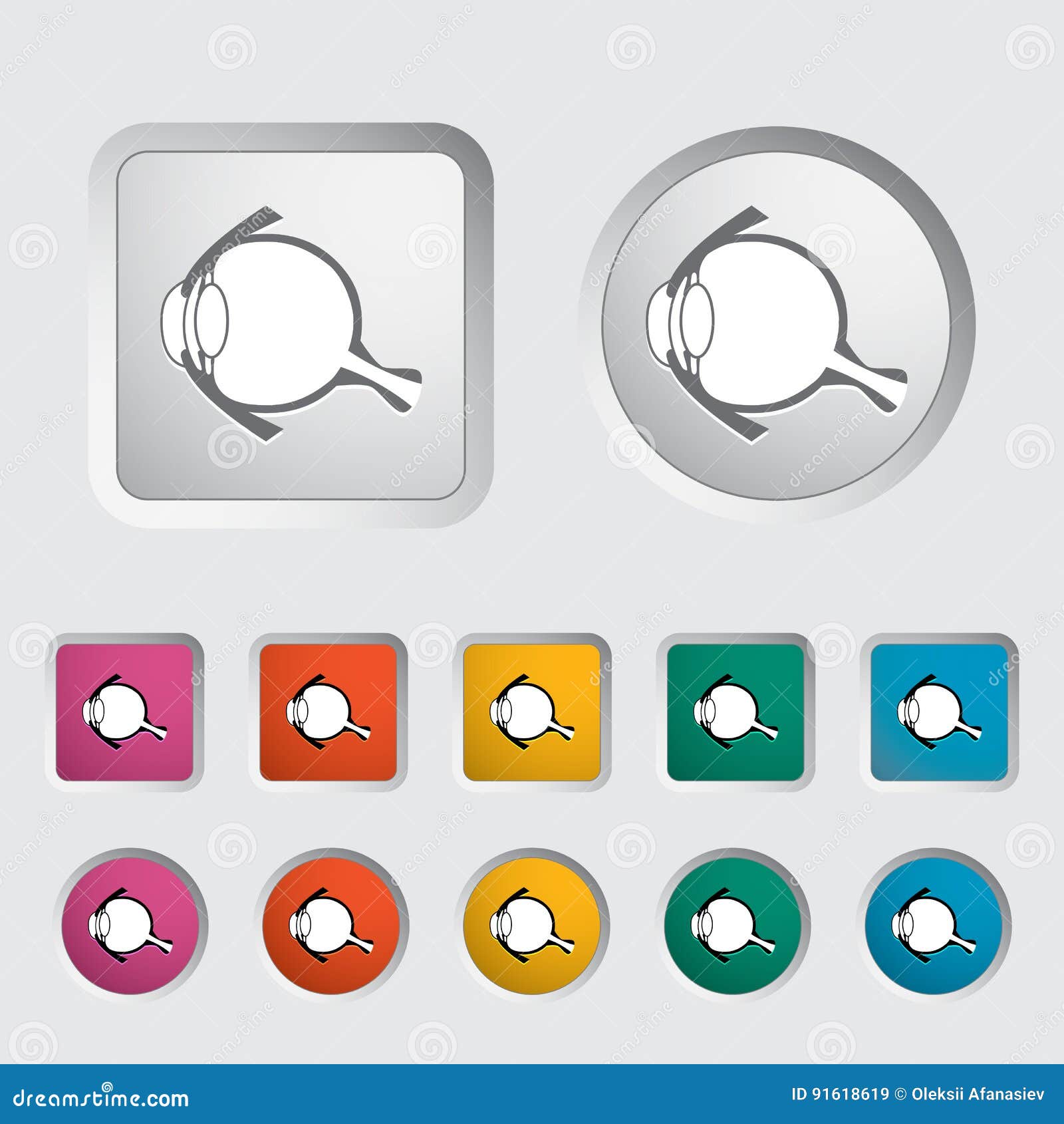 Anatomy eye. stock vector. Illustration of healthcare - 91618619