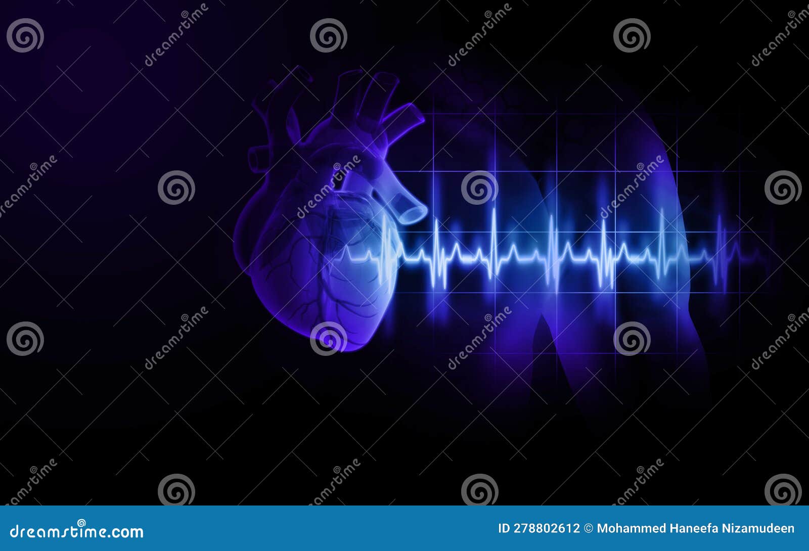 Anatomy of human heart stock illustration. Illustration of blue - 278802612