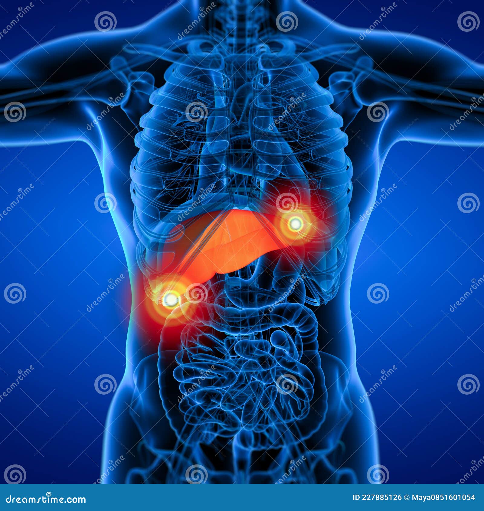3D Rendering Illustration of Liver Stock Illustration - Illustration of ...