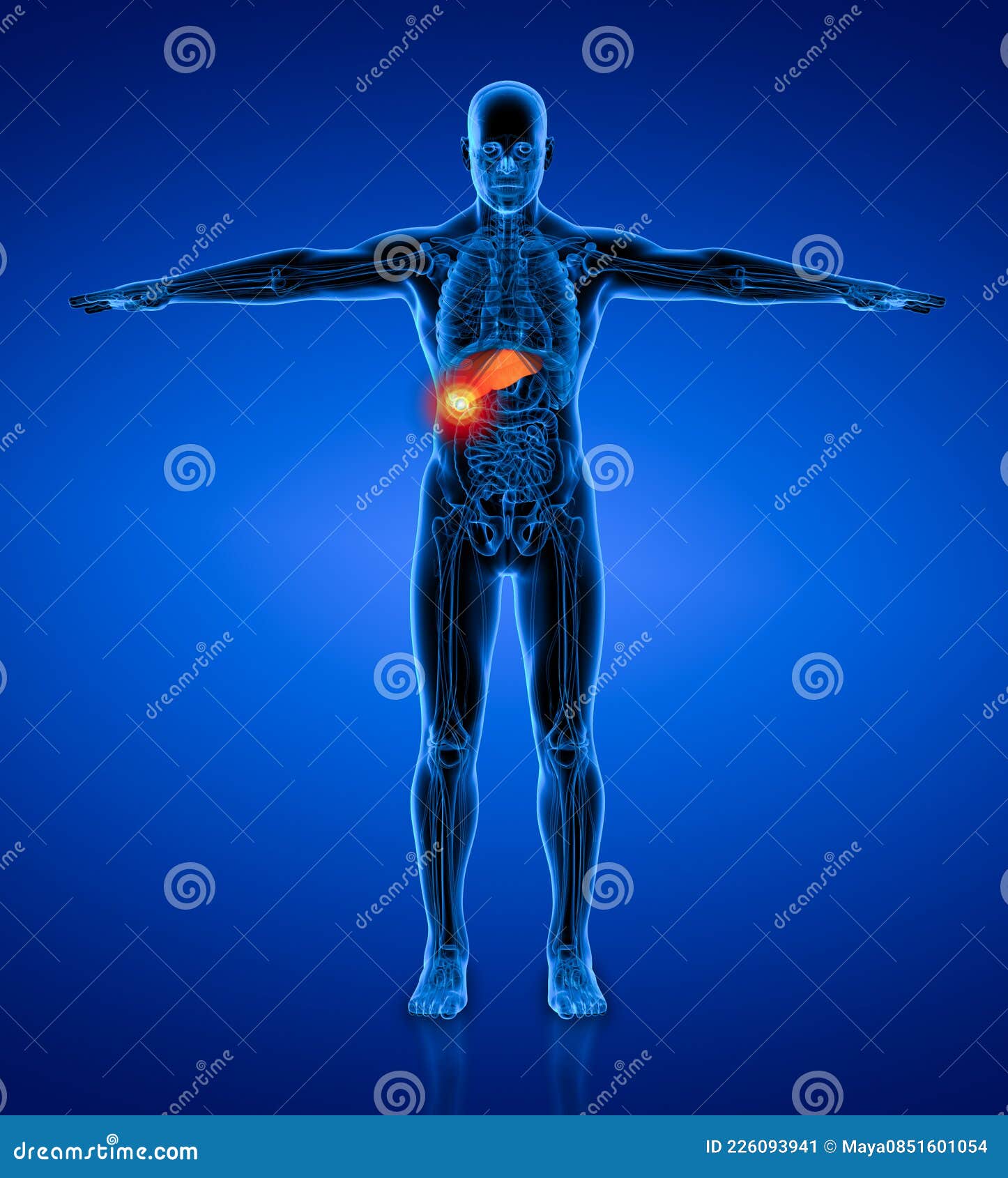 3D Rendering Illustration of Liver Stock Illustration - Illustration of ...