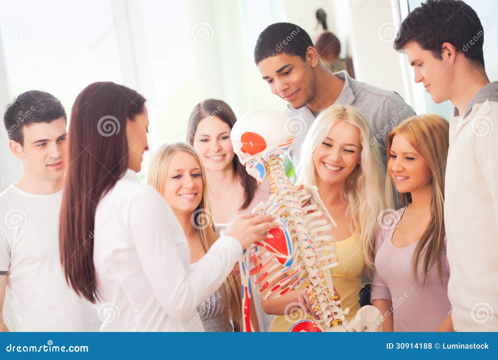 Anatomy Lesson stock photo. Image of education, cheerful - 30914188