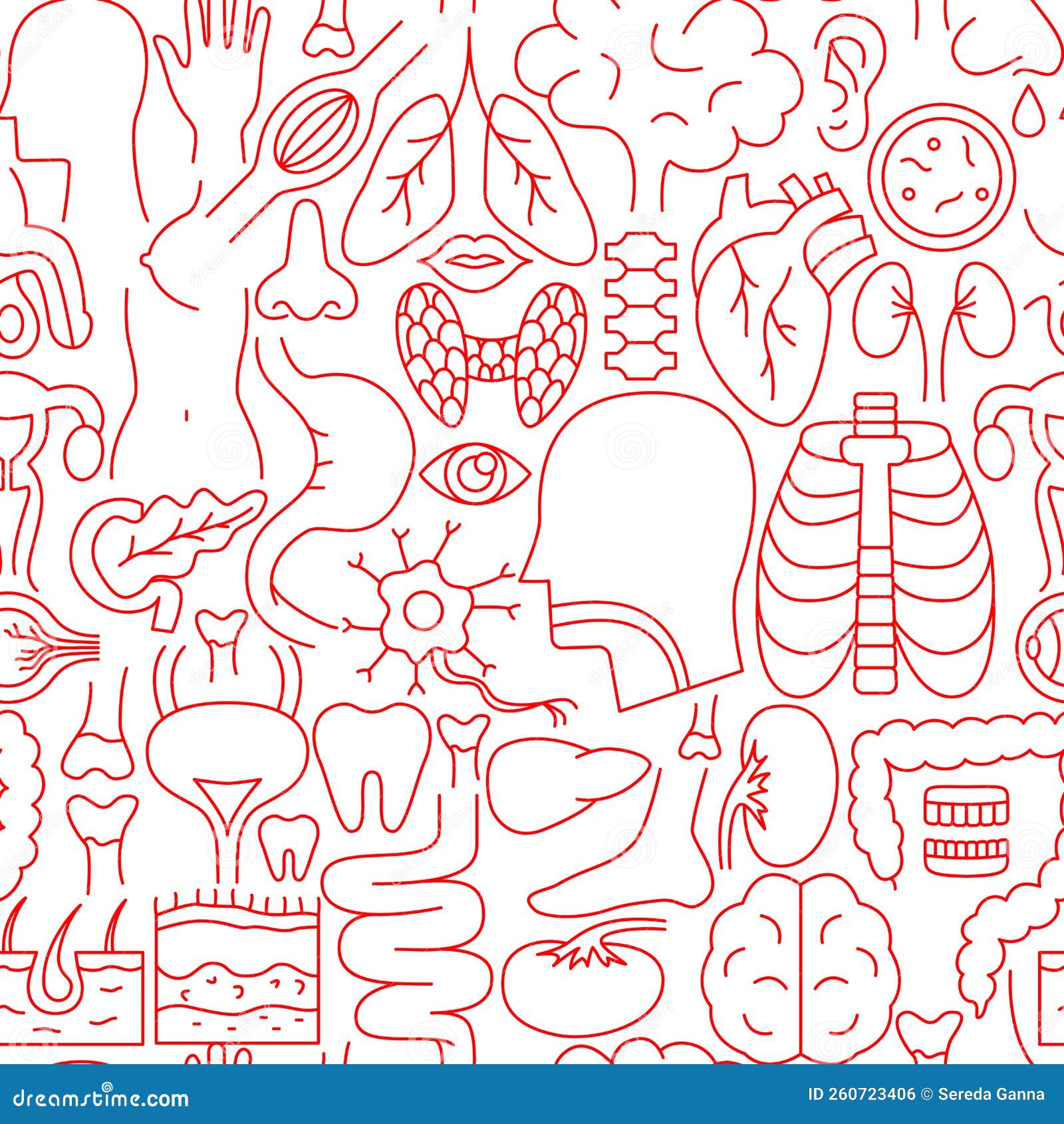 Anatomy Line Seamless Pattern Stock Vector - Illustration of anatomy ...