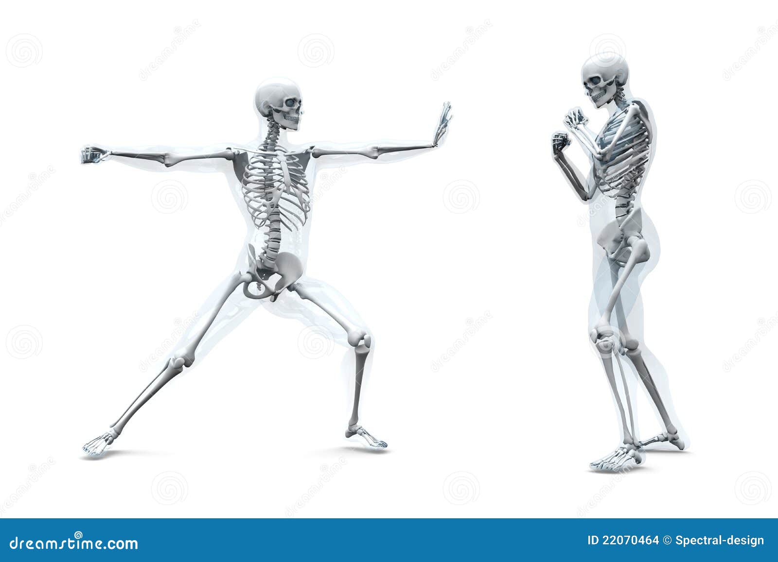 Anatomy - Martial Arts stock illustration. Illustration of medicine ...