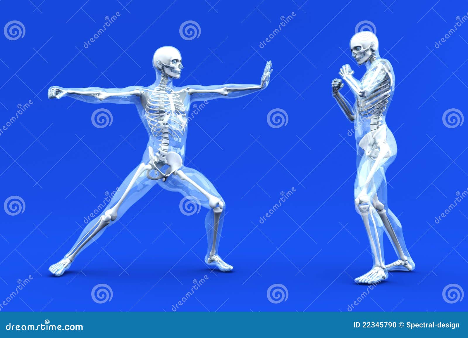 Anatomy - Martial Arts stock illustration. Illustration of compete ...