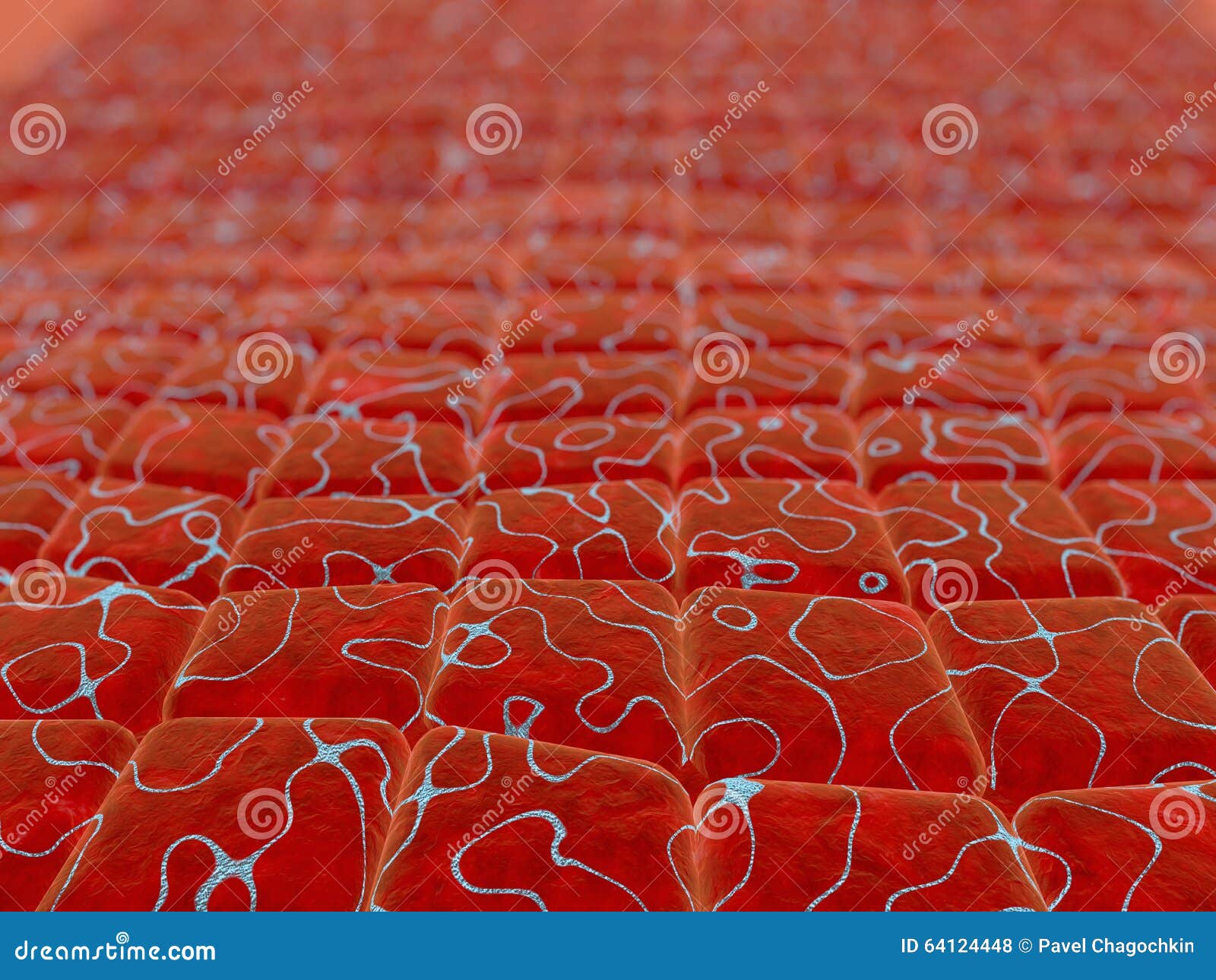 Anatomy Organic Background. Molecular Cell Structure Stock Illustration ...