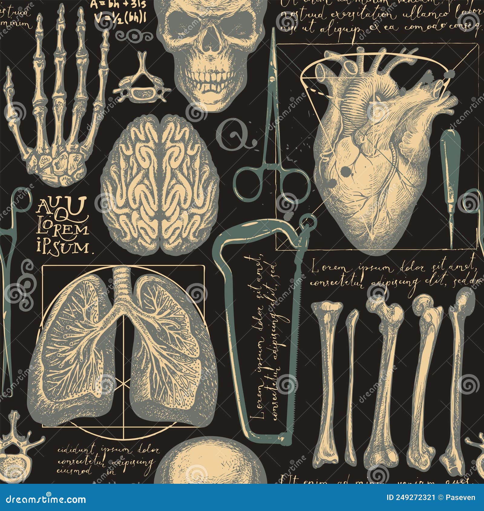 Anatomy Seamless Pattern with Human Skulls and Bones Stock Vector ...