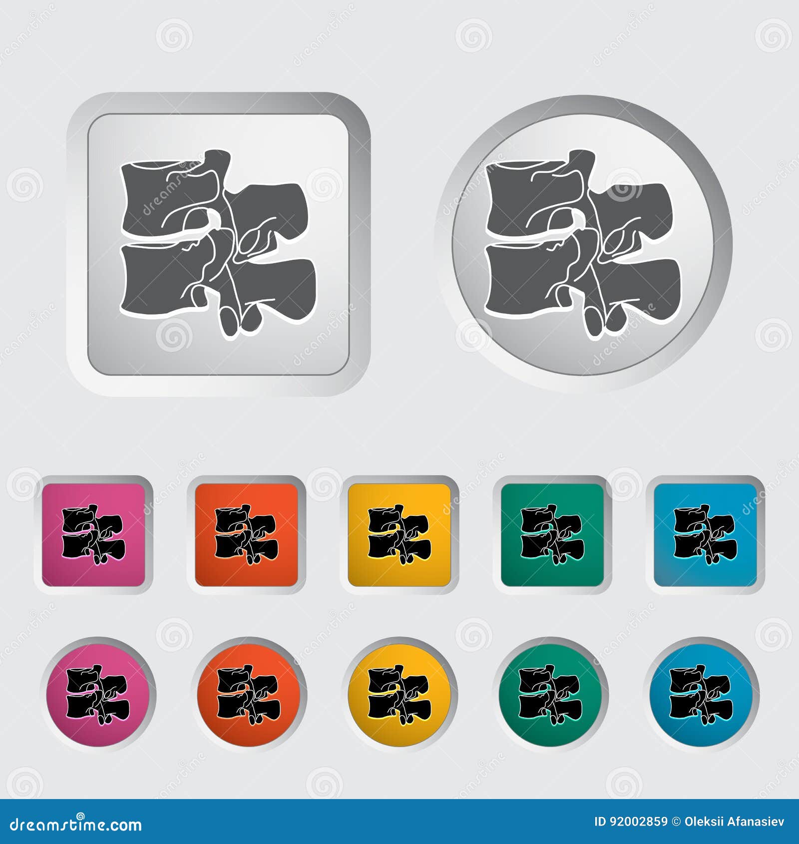 Anatomy spine icon. stock vector. Illustration of organ - 92002859