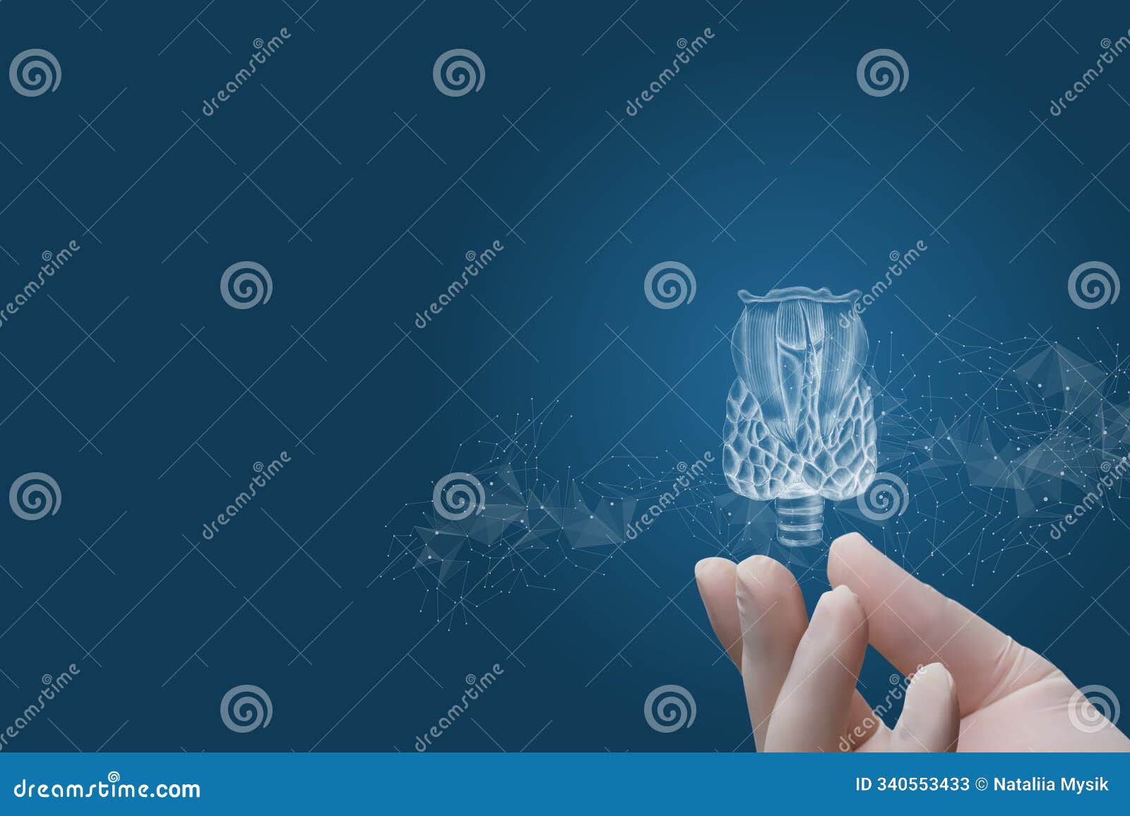 Thyroid Gland Under A Microscope, Light Micrograph Exhibiting Typical ...