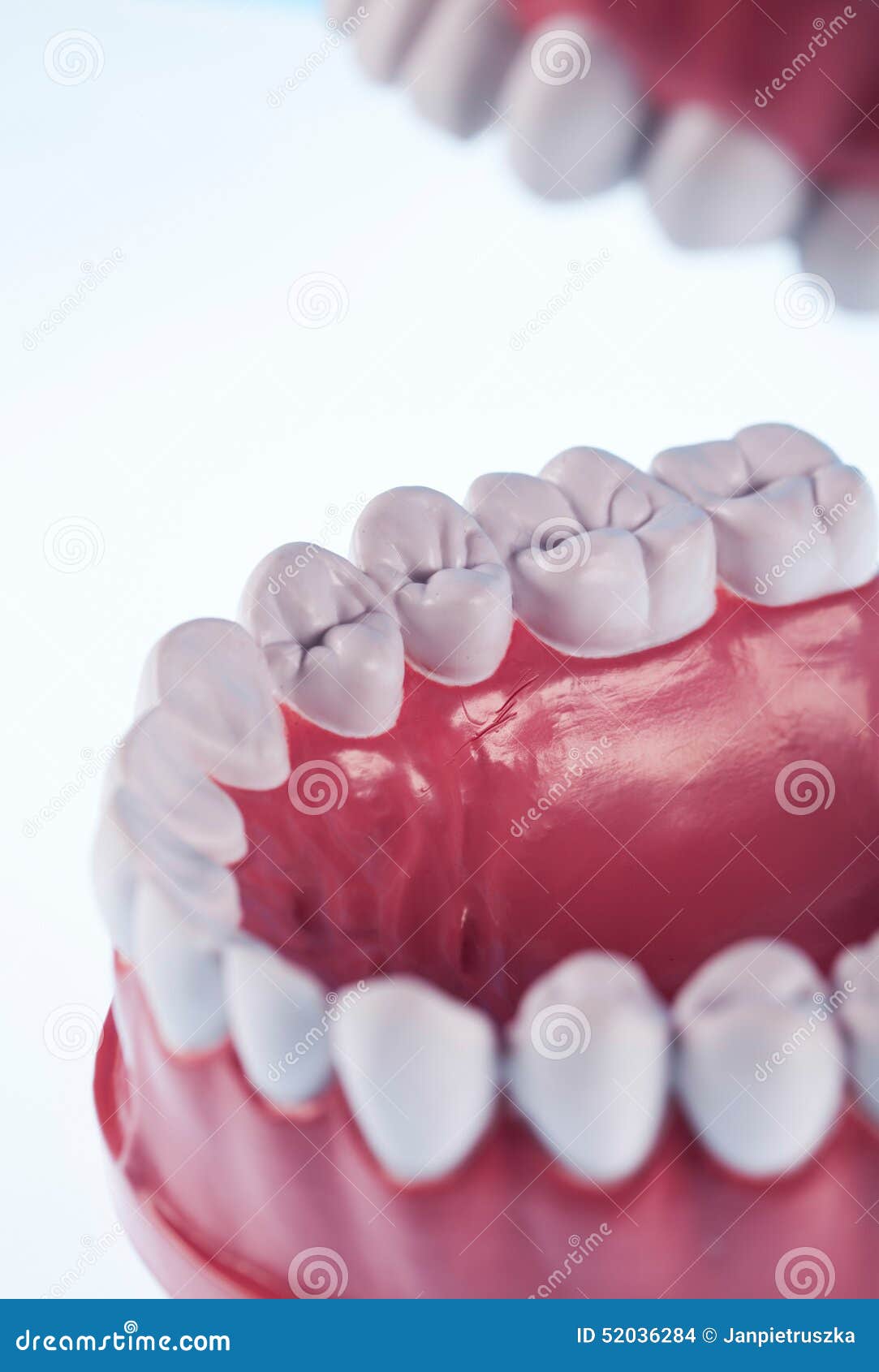 Anatomy of the Tooth, Bright Colorful Tone Concept Stock Photo - Image ...