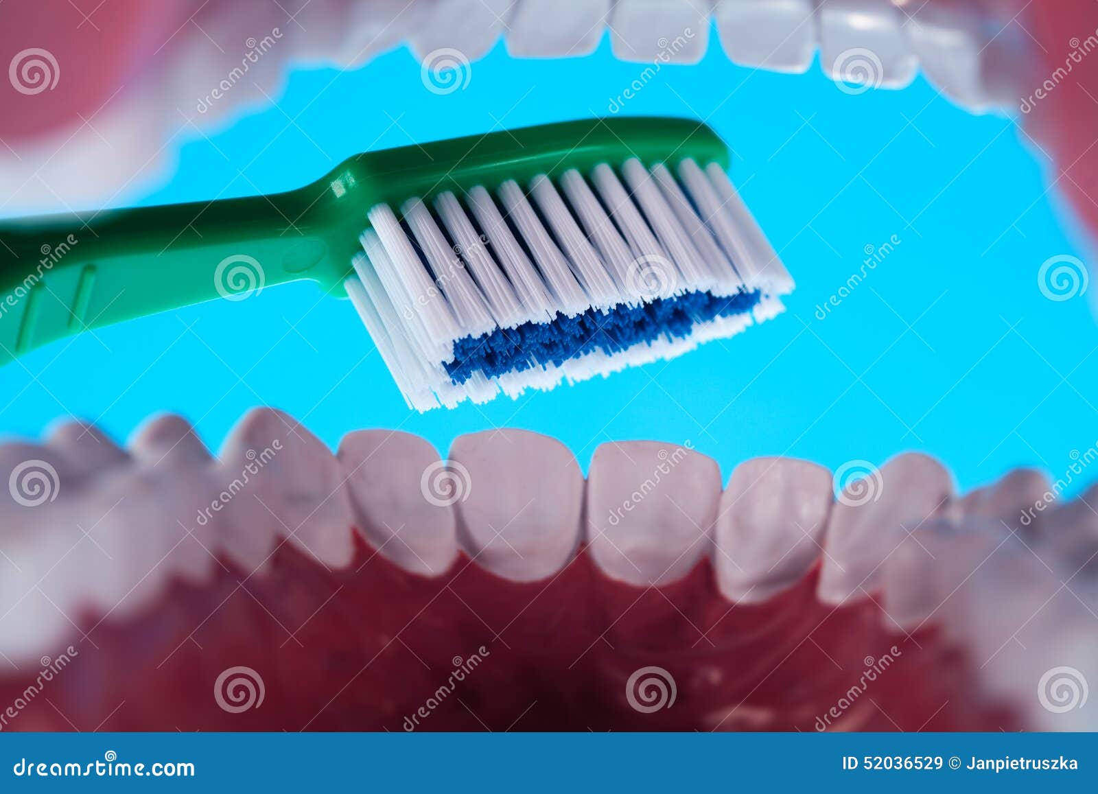 Anatomy of the Tooth, Bright Colorful Tone Concept Stock Image - Image ...