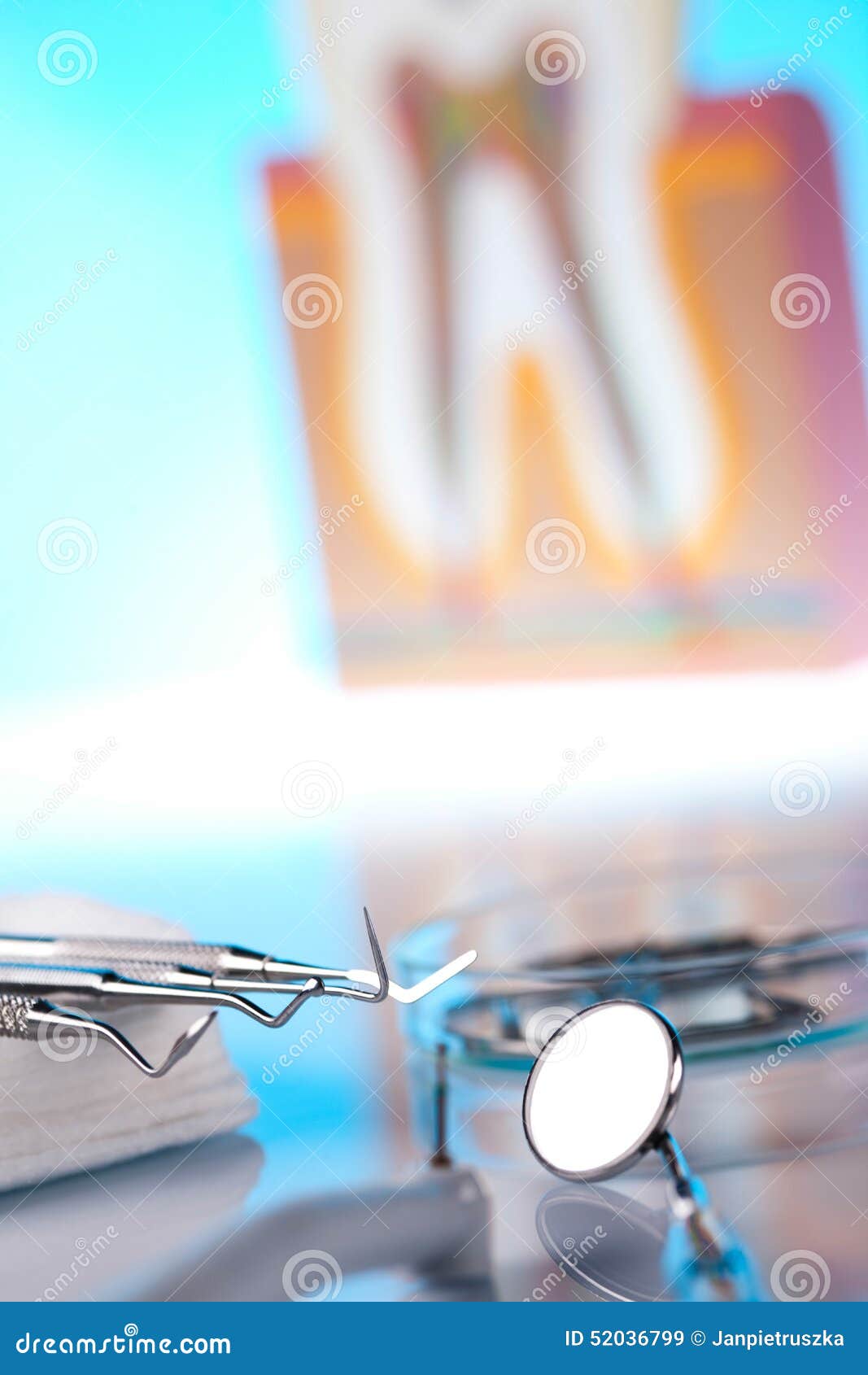 Anatomy of the Tooth, Bright Colorful Tone Concept Stock Image - Image ...