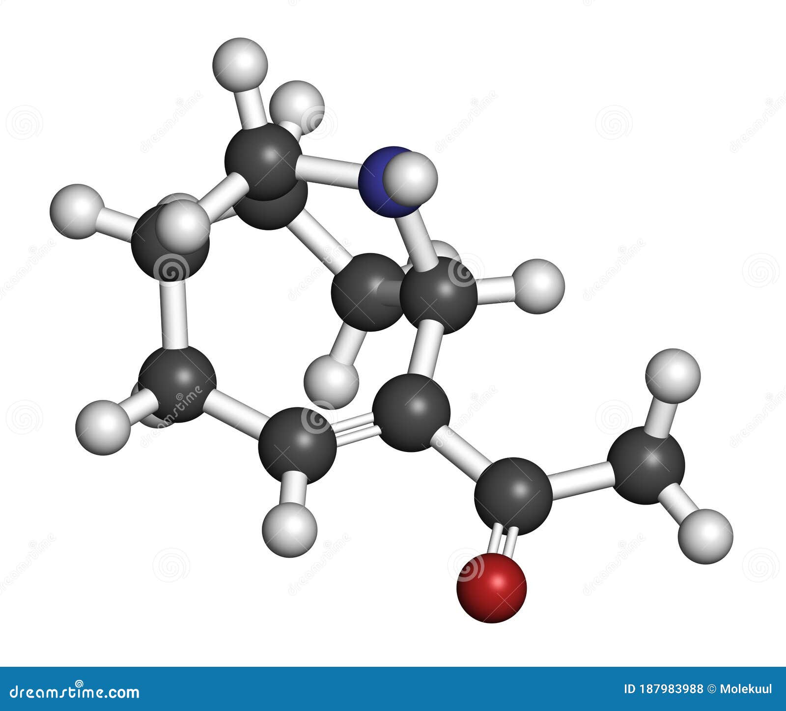 Anatoxin-a Very Fast Death Factor, VFDF Molecule. 3D Rendering. Atoms ...