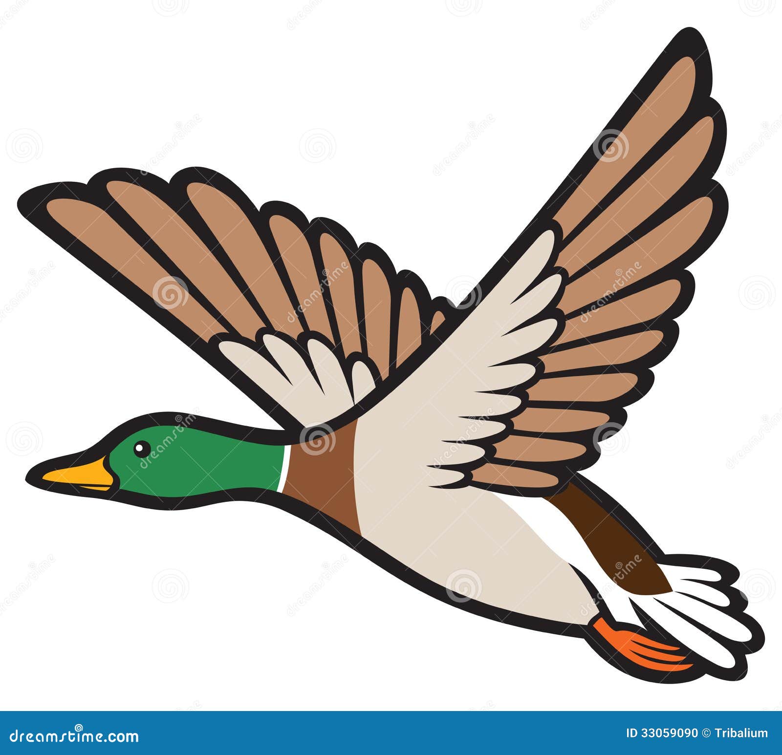 Anatra dell'uccello illustrazione vettoriale. Illustrazione di pozza ...