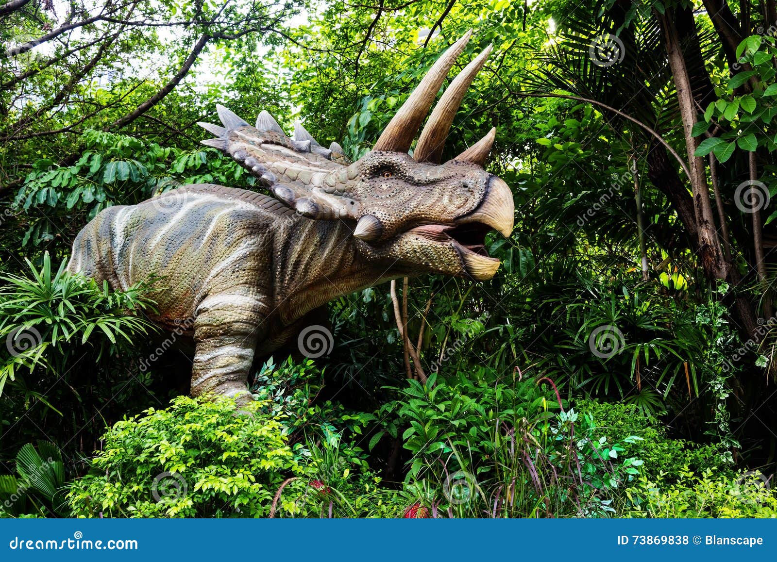 Anchiceratops dinosaur stock photo. Image of history - 73869838