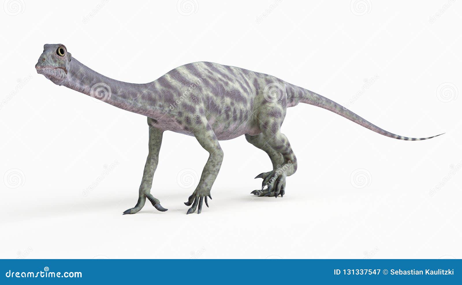 A anchisaurus stock illustration. Illustration of science - 131337547